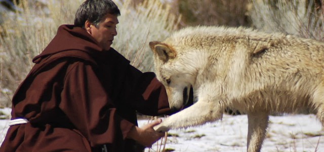 St. Francis and the Wolf of Gubbio Make Peace | Taming the Wolf Institute
