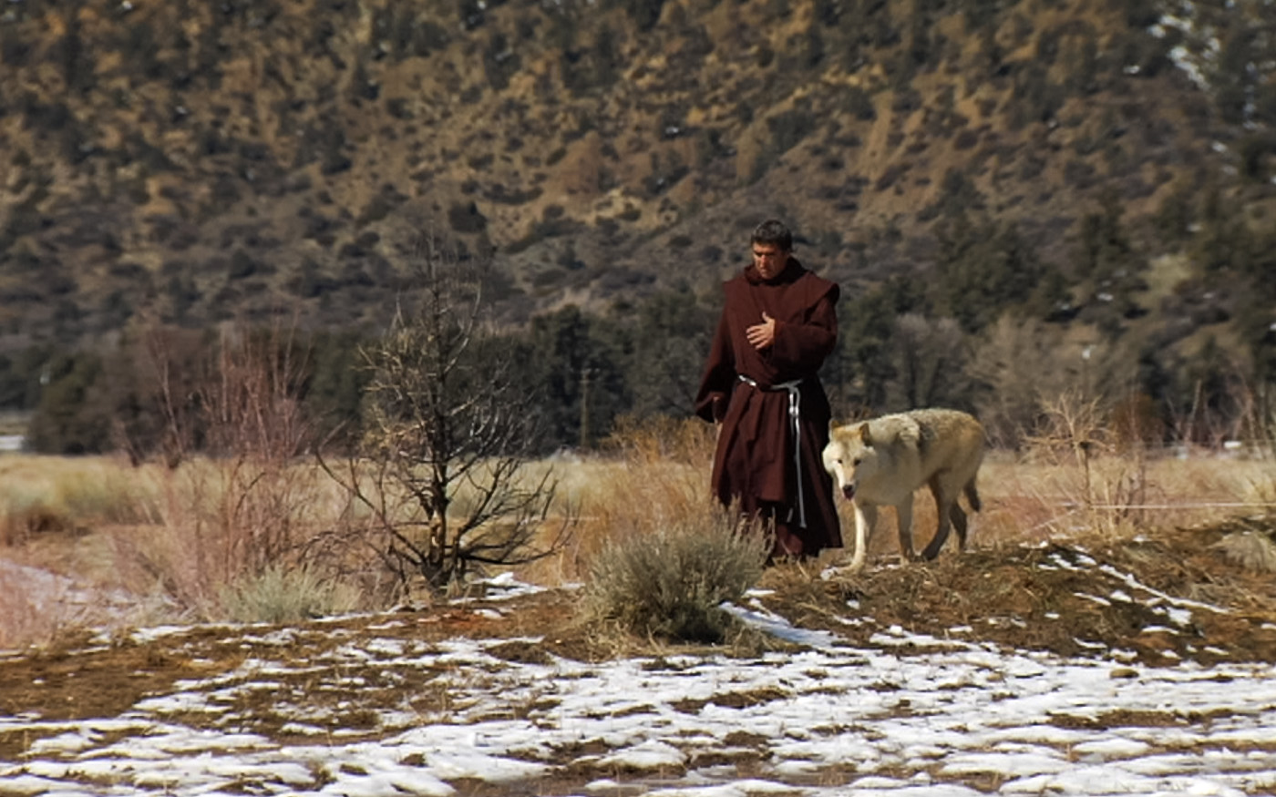 About Taming The Wolf Institute For Franciscan Peacemaking
