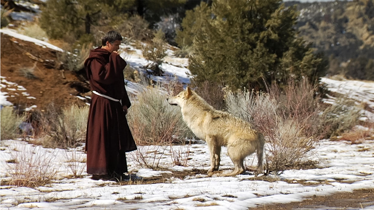 Saint Francis & the Wolf | TTW Institute for Franciscan Peacemaking