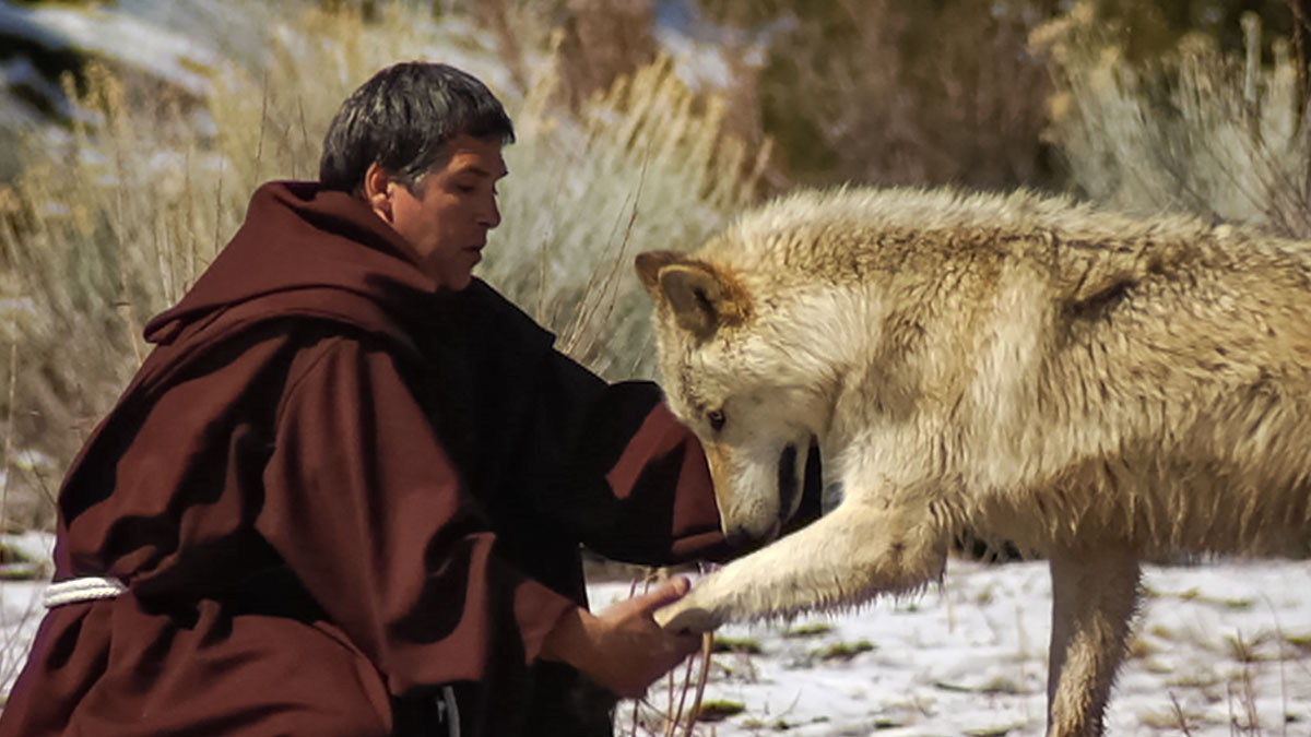 How to Make Peace: Forty Short Video Reflections | Taming the Wolf ...