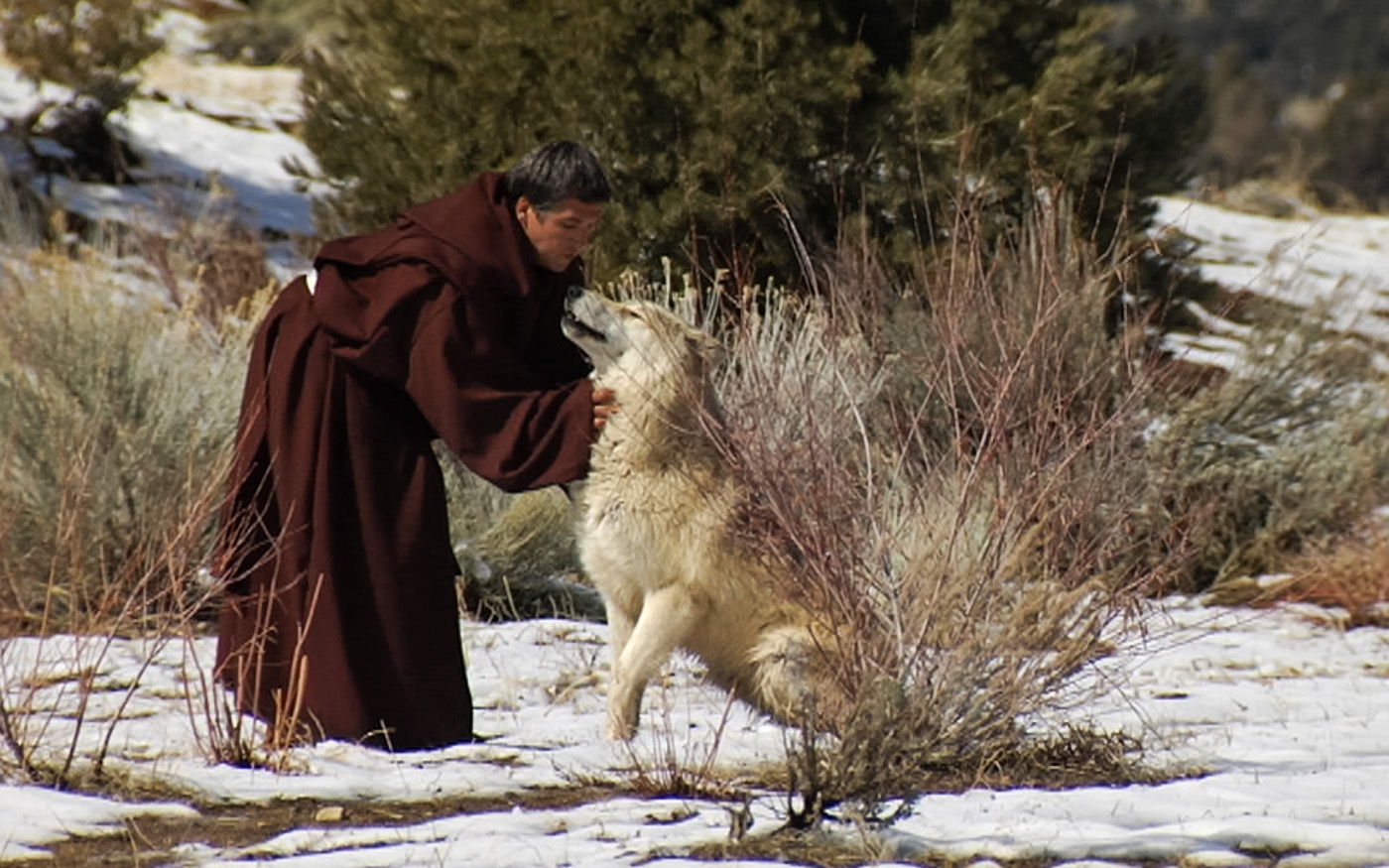 Franciscan Peacemaking Ministry Taming The Wolf Institute
